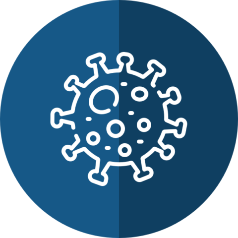 Home | Lighthouse EIP