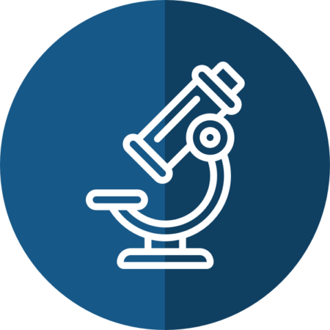 Home | Lighthouse EIP